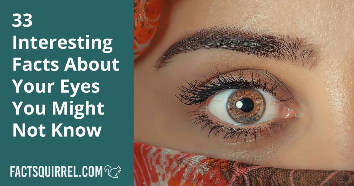 33 Interesting Facts About Your Eyes You Might Not Know Fascinating 33 Interesting Facts About Your Eyes You Might Not Know Fascinating