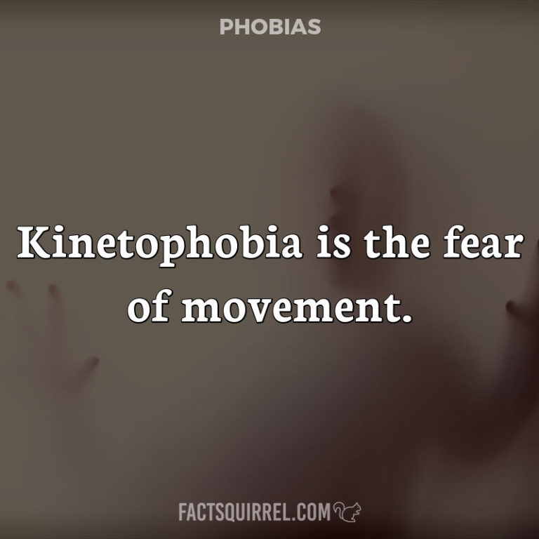 The fear of fog is known as homichlophobia - FactSquirrel
