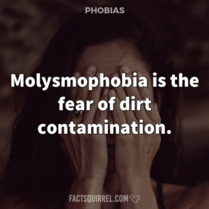 Nephophobia is the fear of clouds - Fact Squirrel