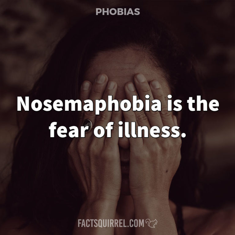 Pluviophobia is the fear of rain - Fact Squirrel