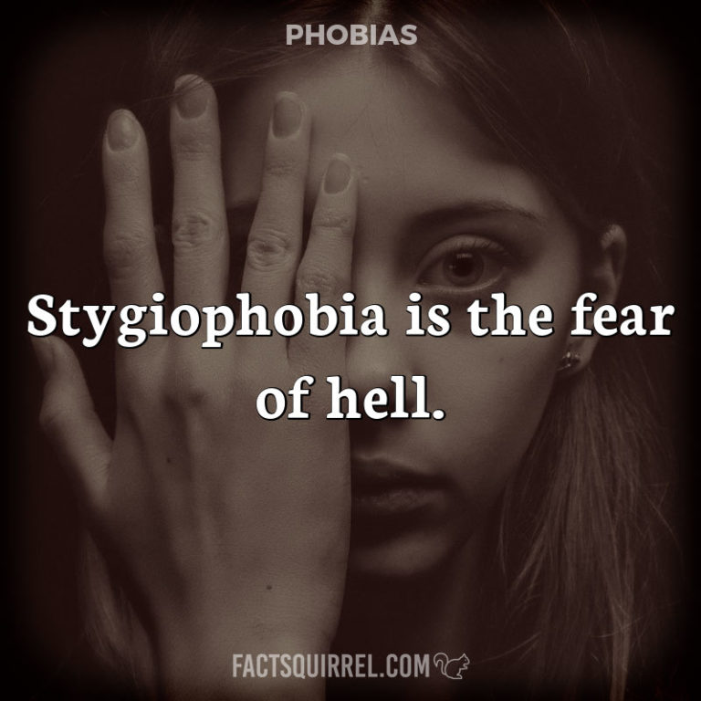 The fear of flowers is known as anthophobia - Fact Squirrel