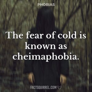 The fear of snow is known as chionophobia - Fact Squirrel