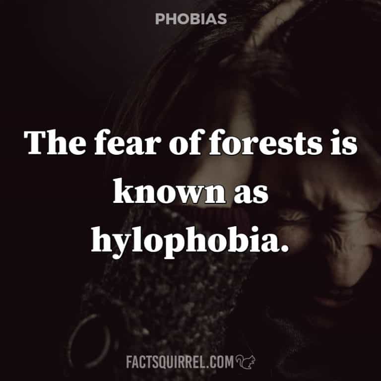 The fear of nudity is known as gymnophobia - Fact Squirrel